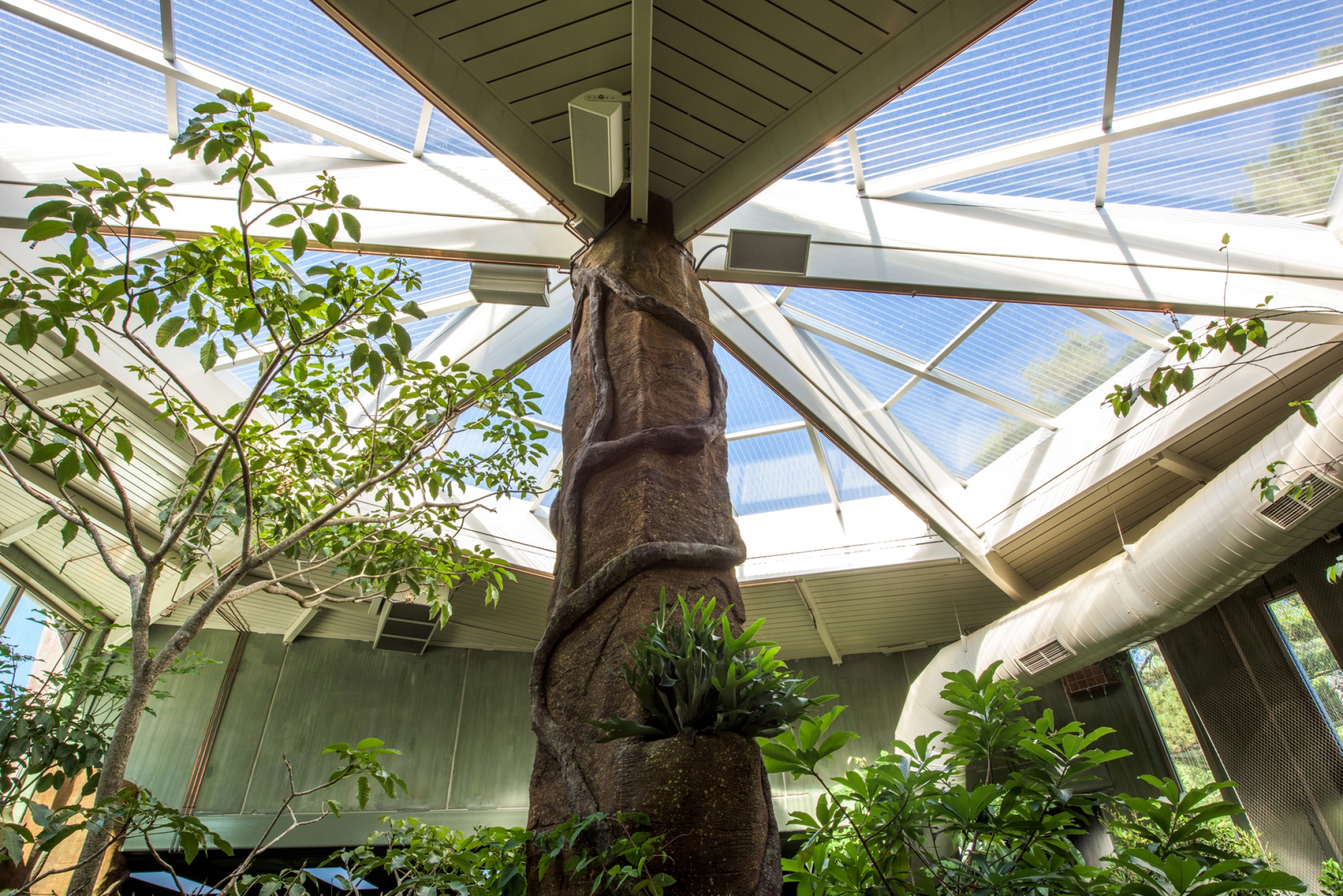 Treasures of the Rainforest Exhibit - Tracy Aviary - AMD Architecture