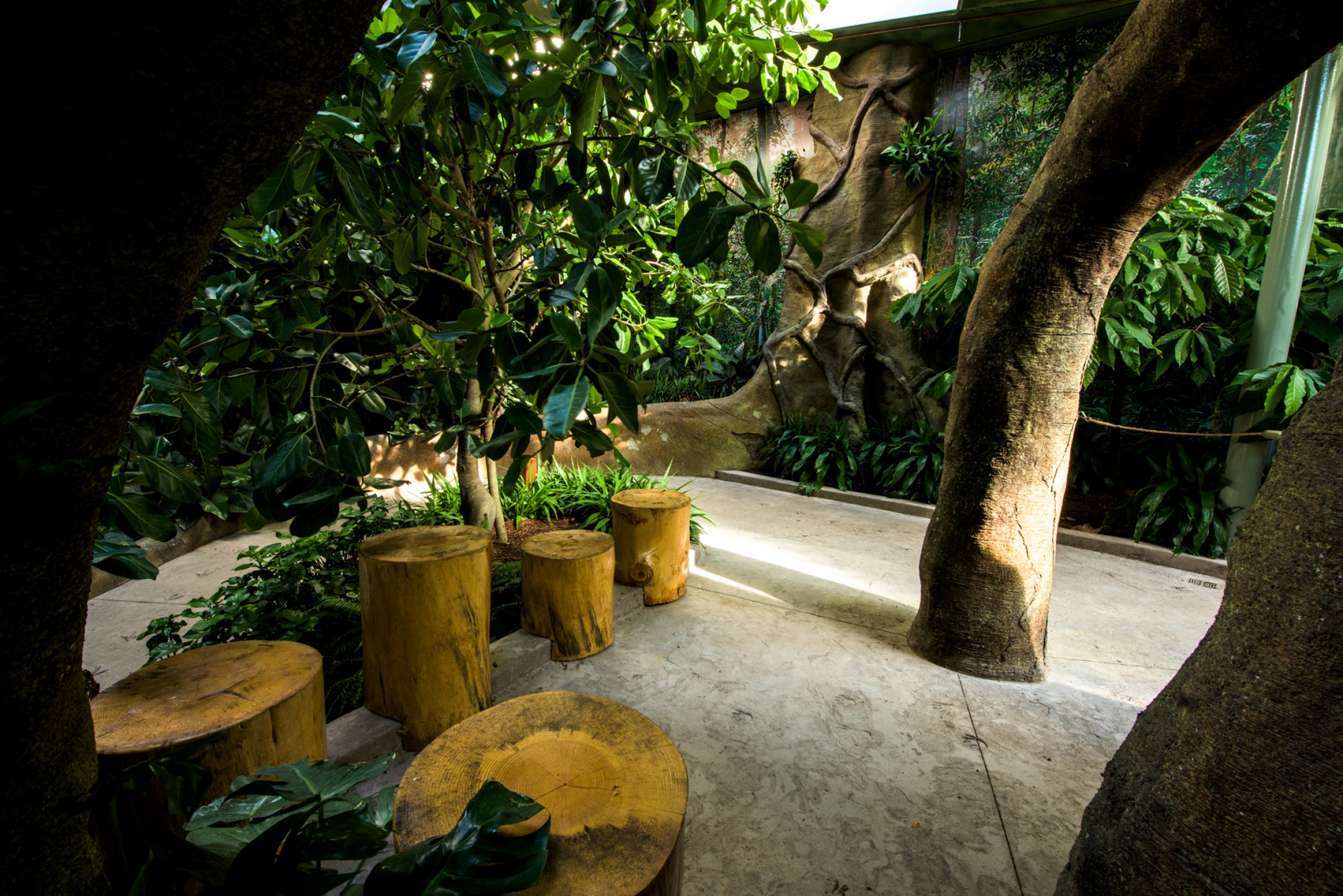 Treasures of the Rainforest Exhibit - Tracy Aviary - AMD Architecture