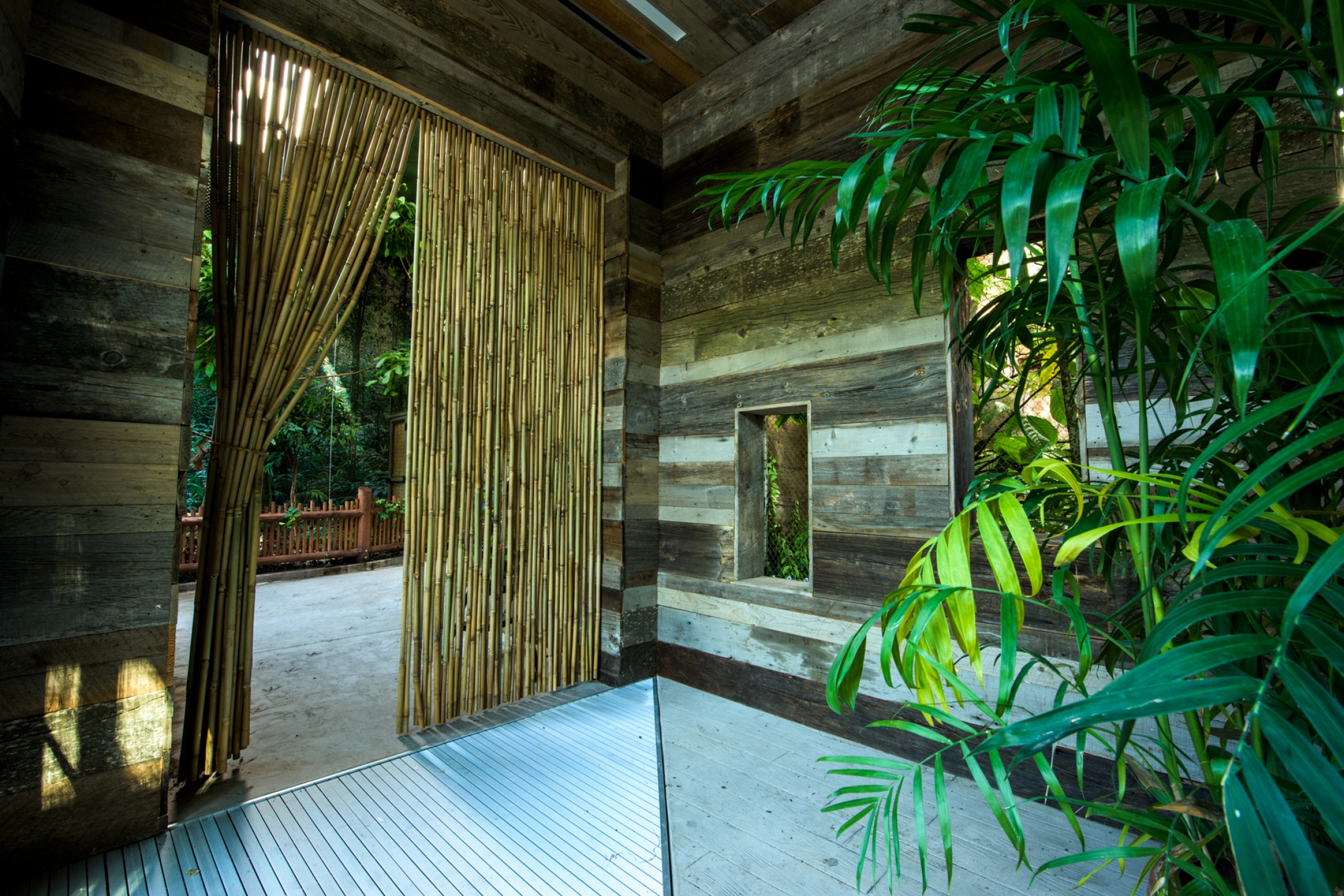 Treasures of the Rainforest Exhibit - Tracy Aviary - AMD Architecture