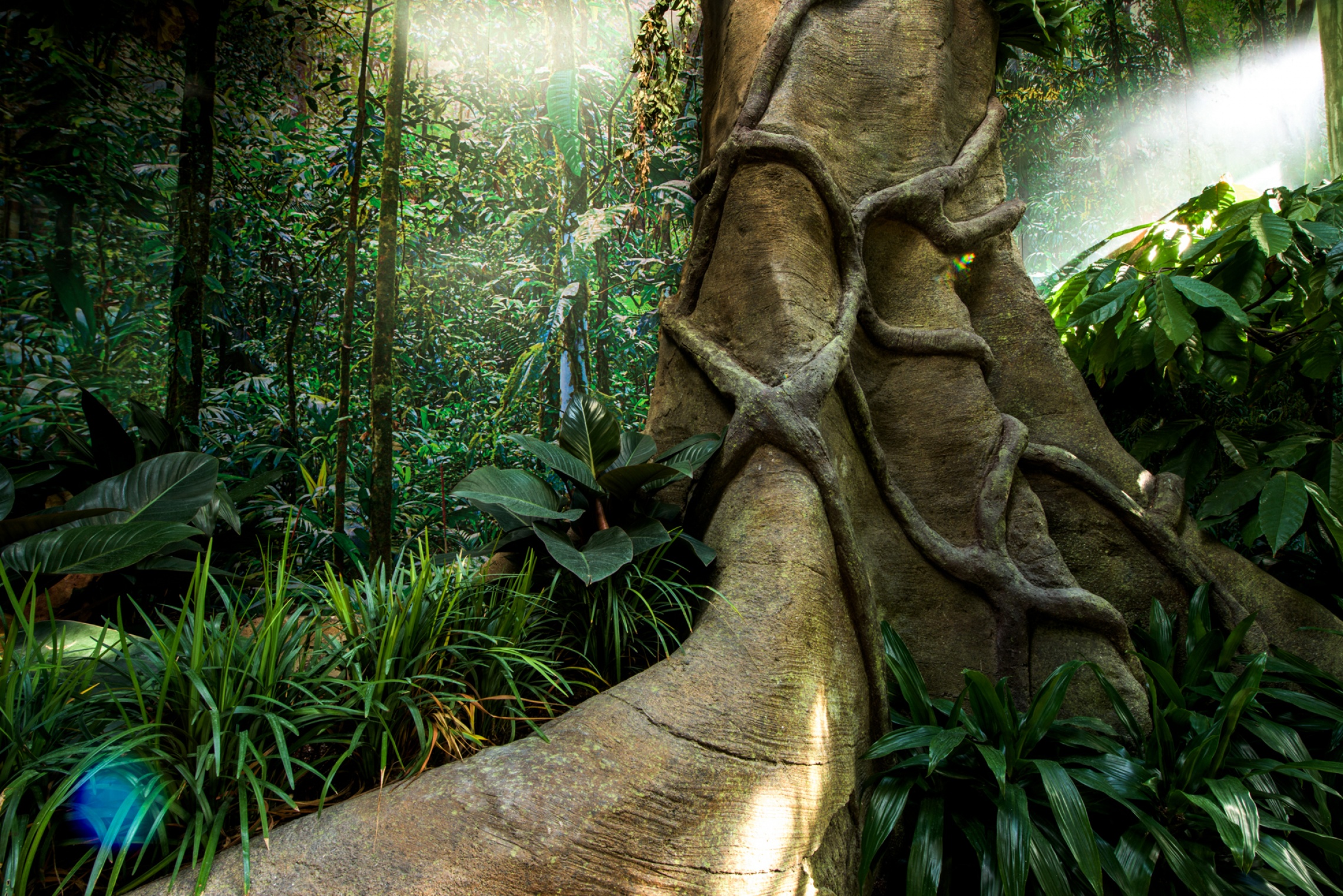 Treasures of the Rainforest Exhibit - Tracy Aviary - AMD Architecture